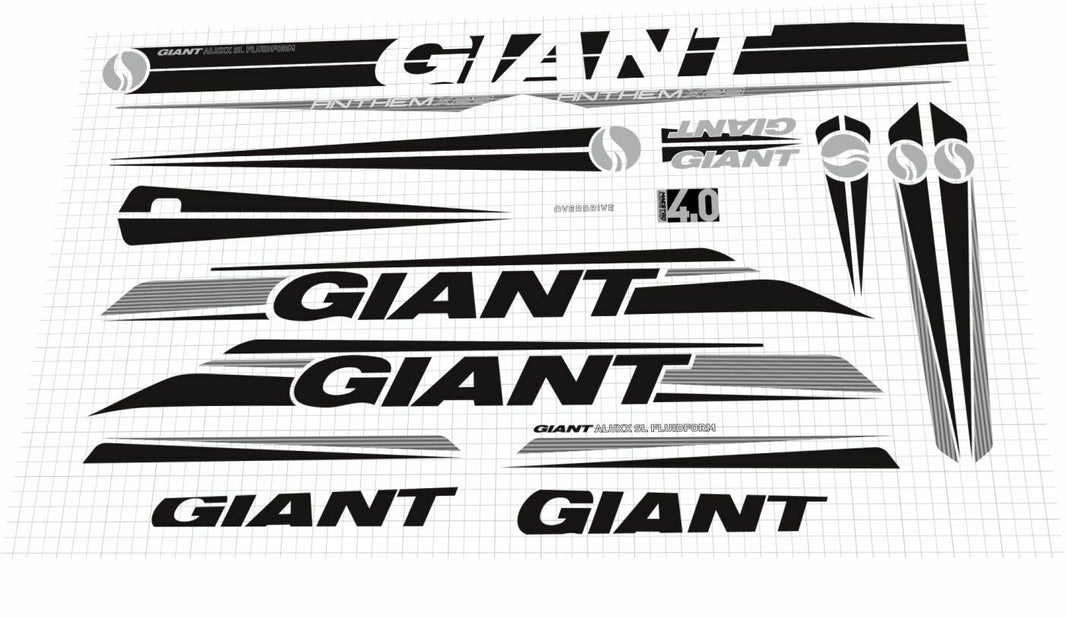 Giant – Bike Decal Replace